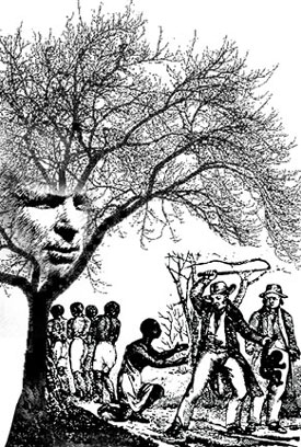 John Mccain Family Tree