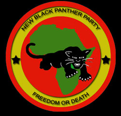 New Black Panther Party uses old school tactics to serve the poor