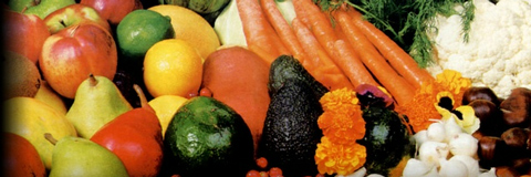 Barbados begins new drive to support local agriculture