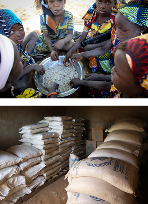 World food security slipping ever further away