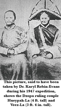 The Enigma of the 13 Crystal Skulls and the Origin of the 13 tribes