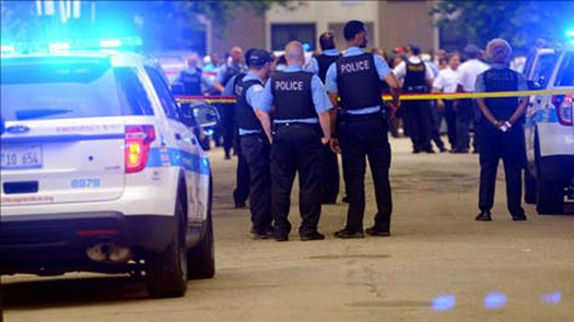 Fired police commander calls for probe