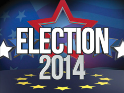 Black voters needed in mid-term elections, but Black issues are still ...