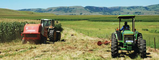 Investing In Zimbabwe's Smallholder Farmers